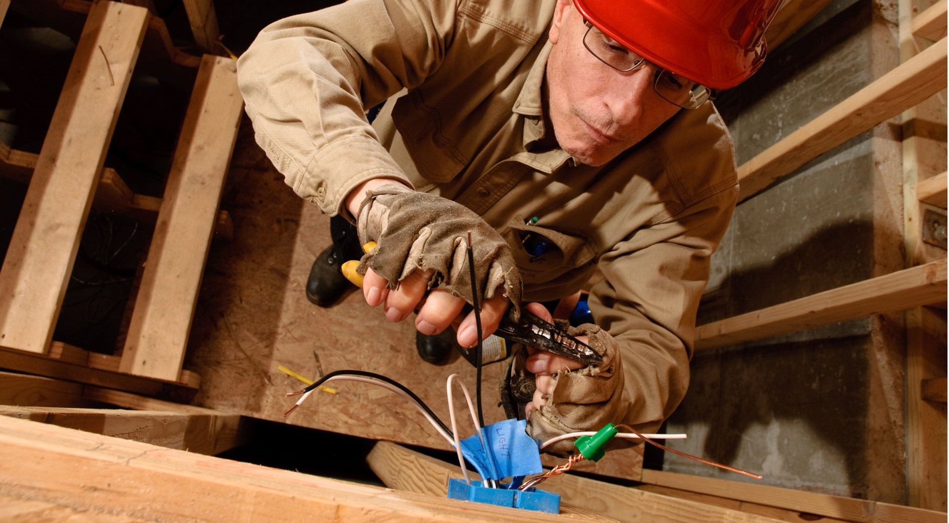 Contact Us - Pineseed